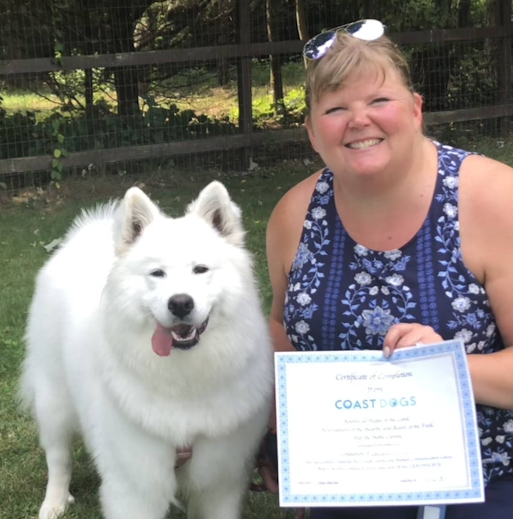 Dog Obedience Training – Coast Dogs Training